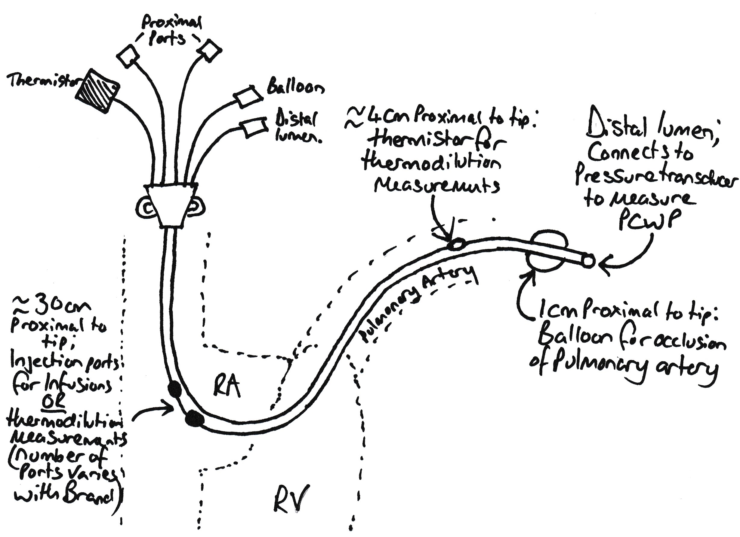 Measurement of Blood Pressure and Cardiac Output – Physics4FRCA